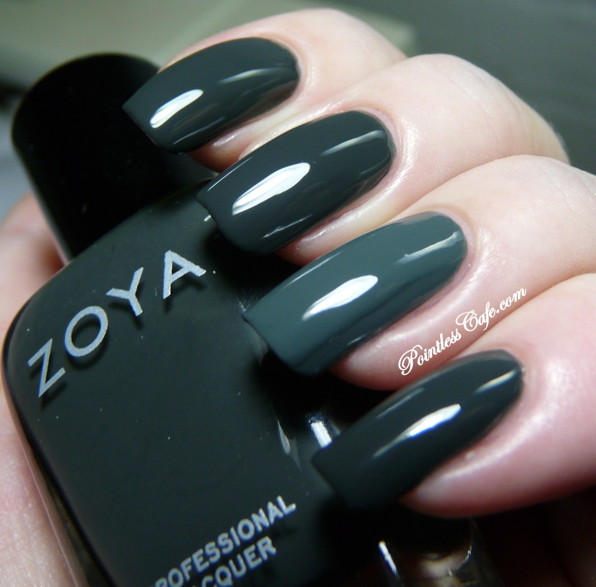 Zoya Evvie Dupe