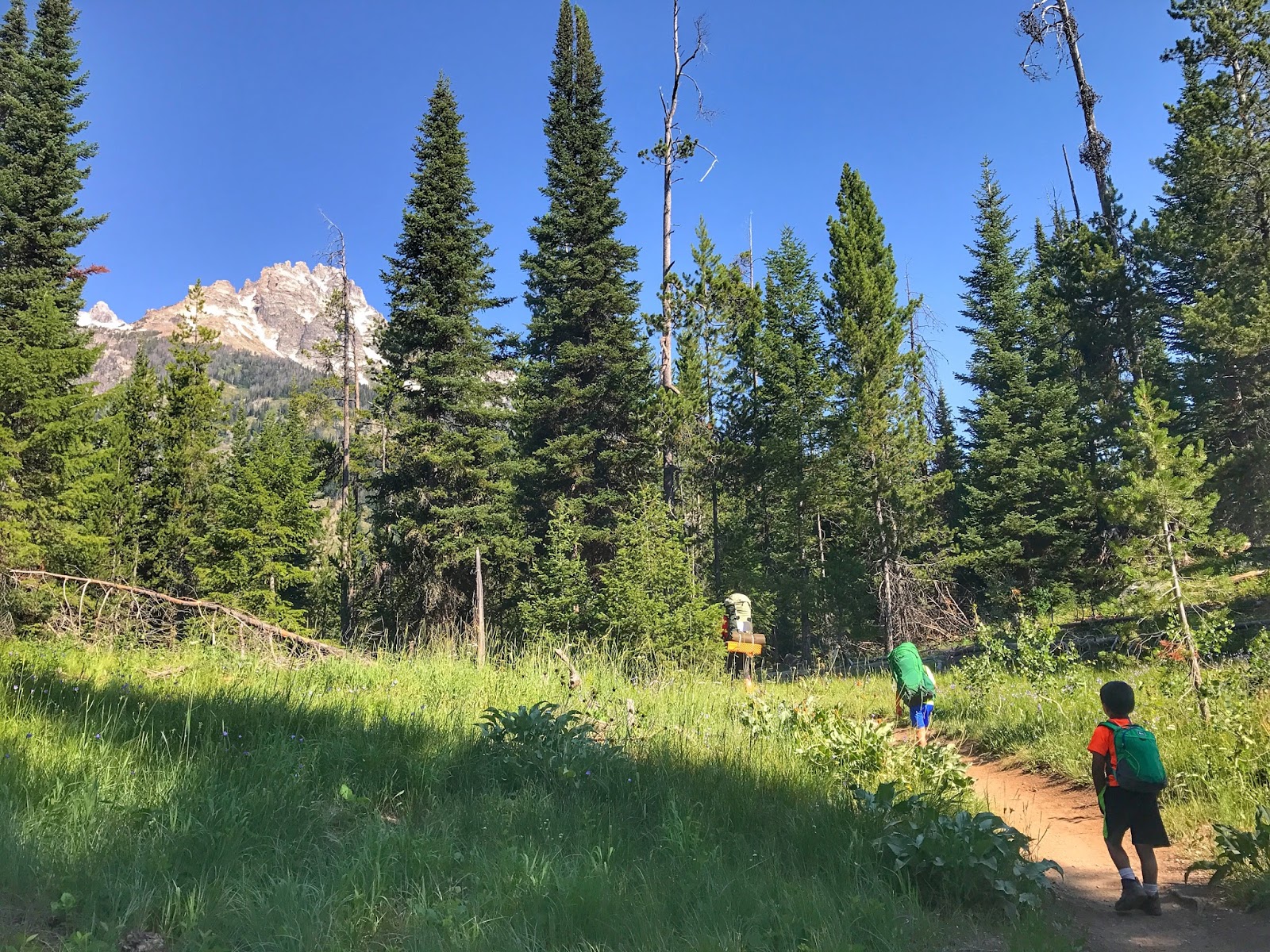 Run-Hike-Play: Backpacking to Surprise Lake - Grand Teton National Park ...