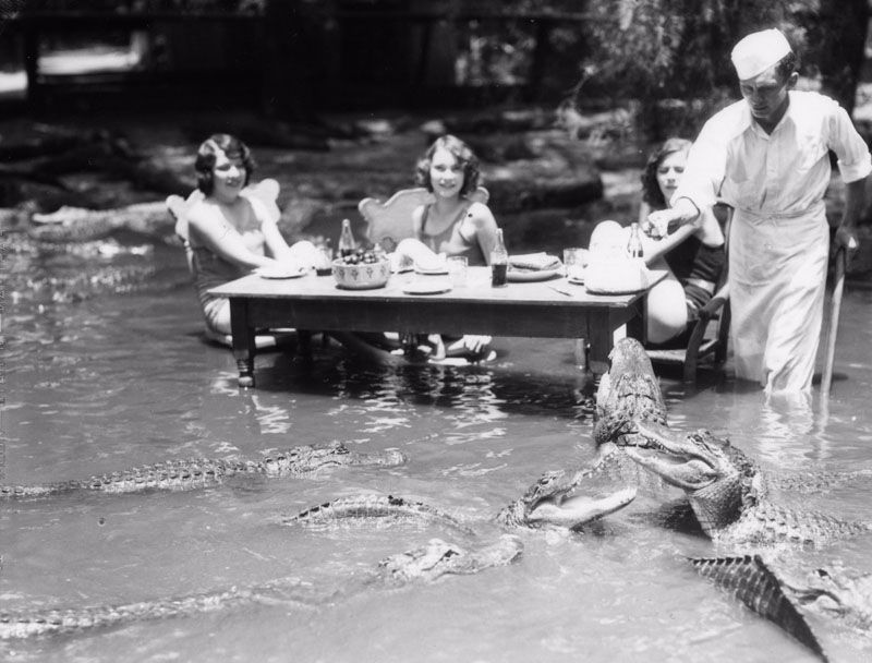 27 Incredible Vintage Photos of People Posing With Alligators, Even ...
