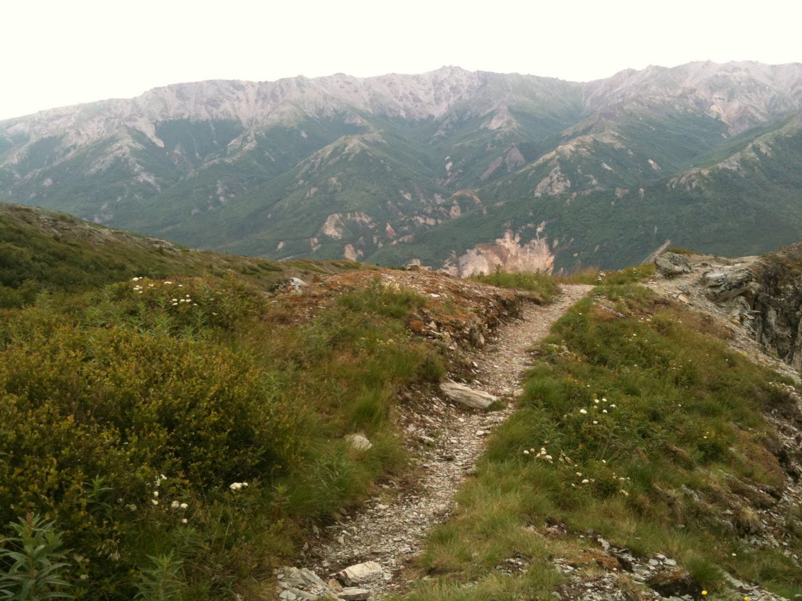 Homemade Alaska: A Family Hike