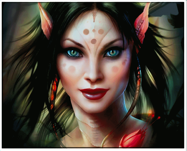 Il Rifugio degli Elfi: Aspetto degli Elfi