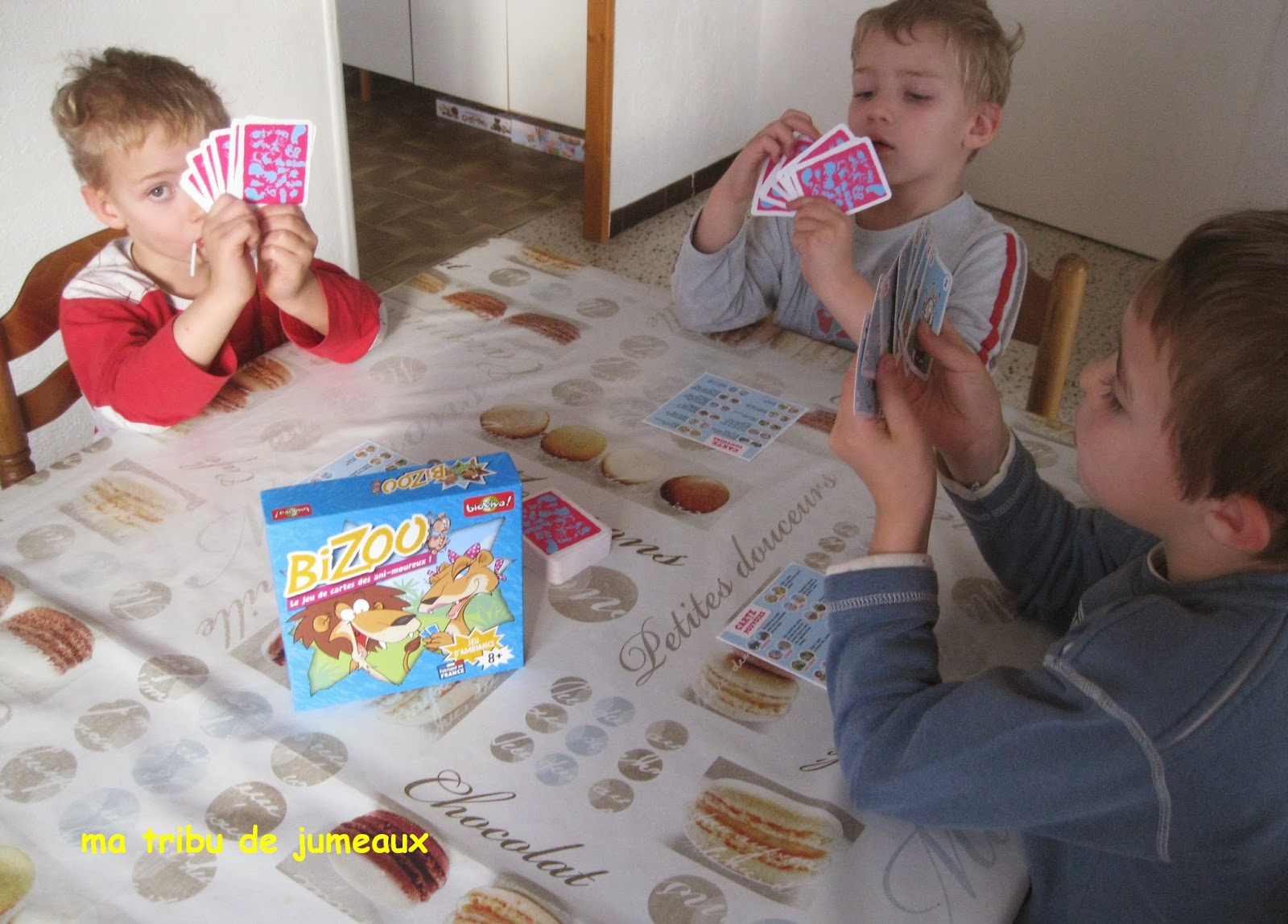 Ma tribu de jumeaux, : BiZoo de Bioviva, un jeu rigolo