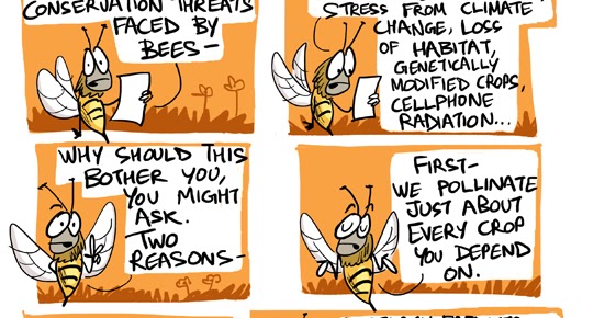 Green Humour: Bees and Us