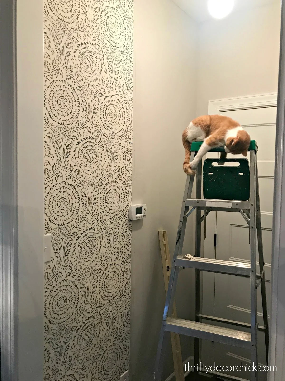 How to easily hang pasted wall paper | Thrifty Decor Chick | Thrifty ...