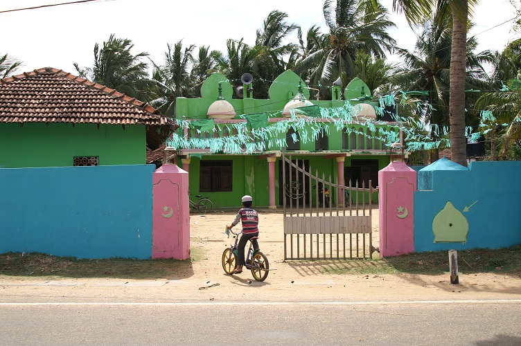 Walks in Eastern Sri Lanka: Pulmoddai & Arisimalai