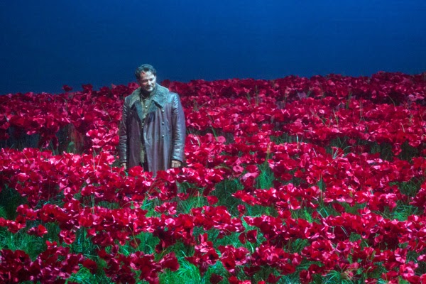 Life in the Poppies - The Opera Queen