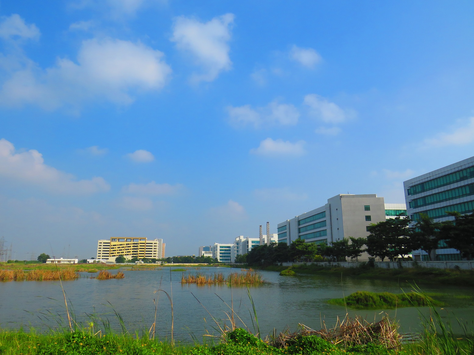 Perumbakkam Wetland (Waterbodies of Chennai - 52)