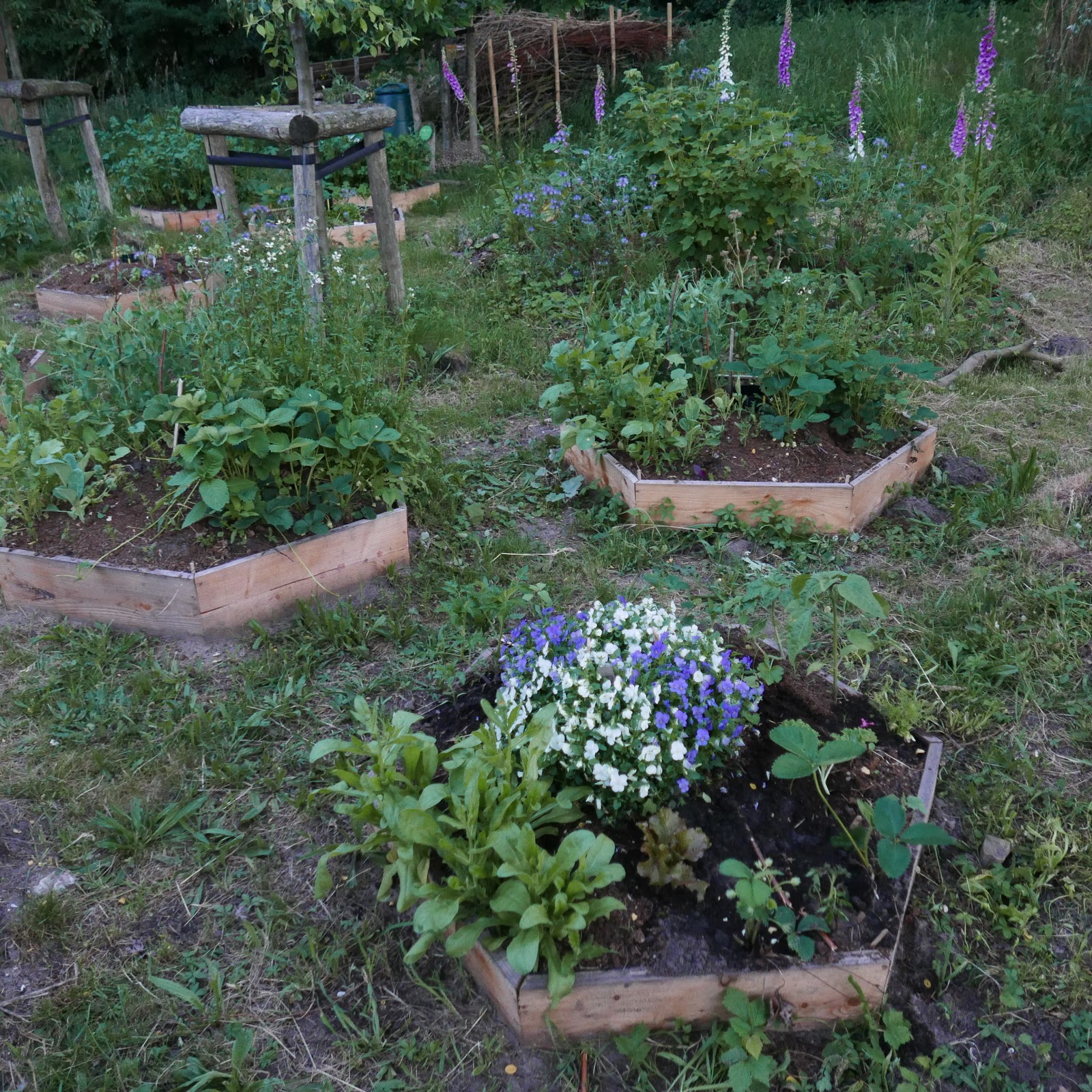 Le Compostier: Verhoogde moestuin bedden voor buurtmoestuin Sweetgrass ...