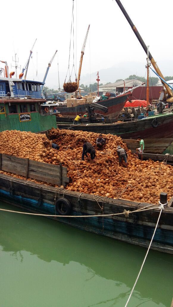 PUSAT BORONG BERAS THAI, KELAPA INDONESIA, BERAS TEMUKUT, GULA, DAGING ...