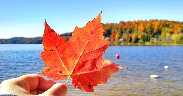 The Staycationer: Perfect Fall Weekend: Kingston Edition
