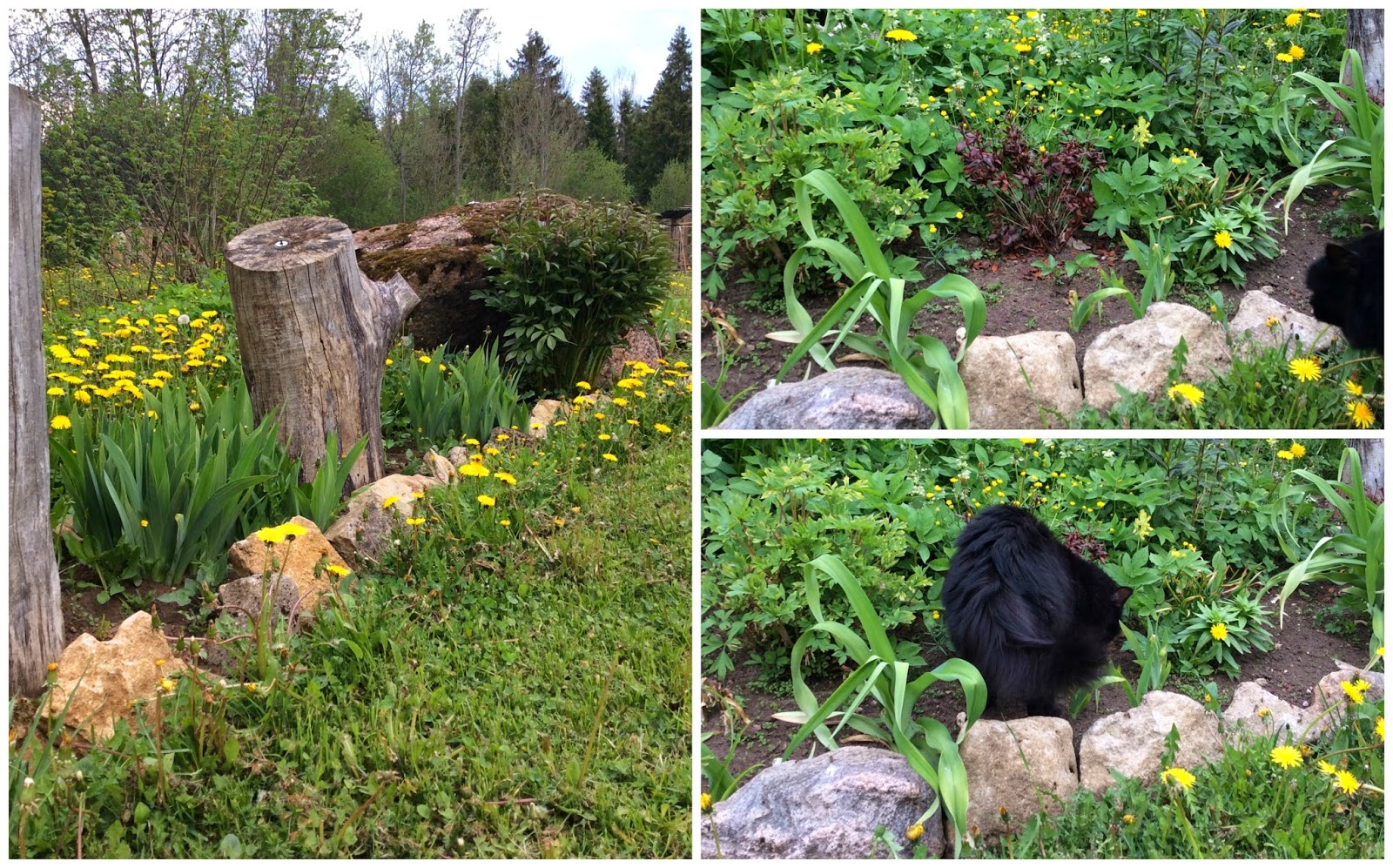 Diip kunstiinimene: Ilusad pildid ehk suure aia pahupool