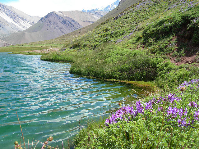 Noah Burke: Laguna Los Horcones in Parque Provincial Aconcagua, Argentina