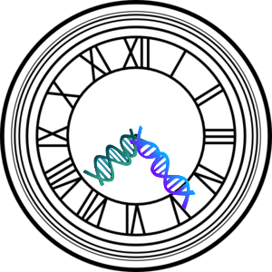 Desafiando a Nomenklatura Científica: O genoma como um relógio ...