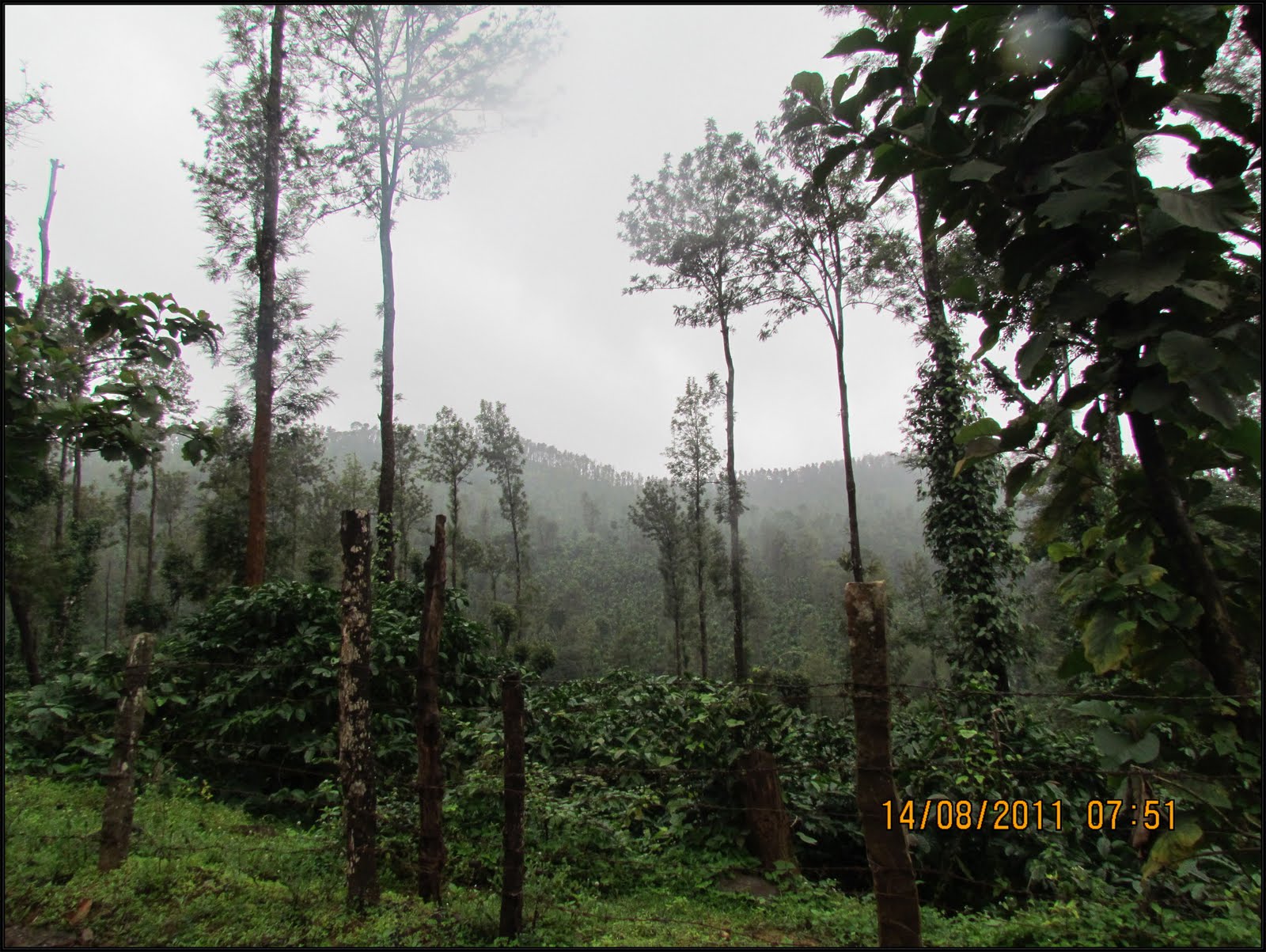 Mesmerizing Malnad - Ahamkaara