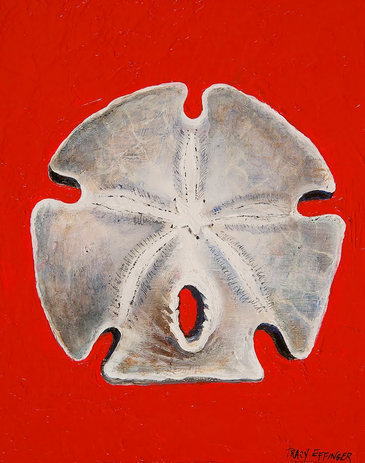 Paintings By Tracy Effinger Upton: Seashell Series On Red