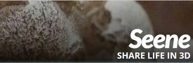 Seene l'application qui vous permet de faire des photos en 3D – Le ...