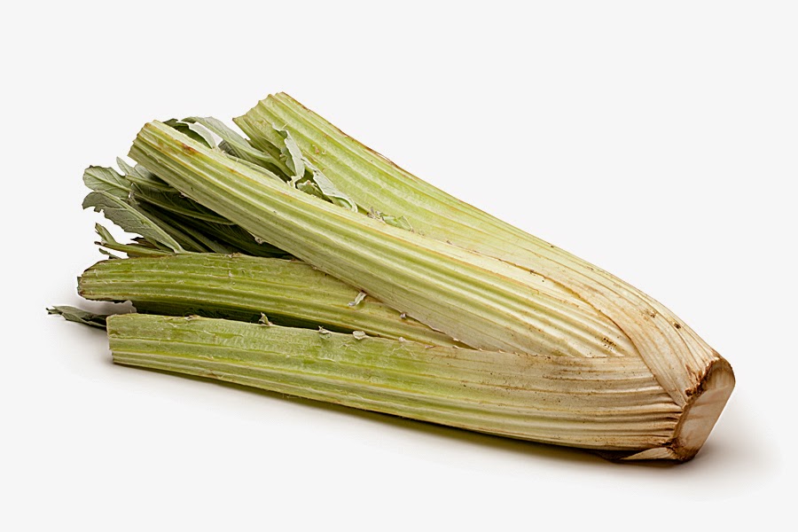 septiembre 2014 ~ Guía para plantar