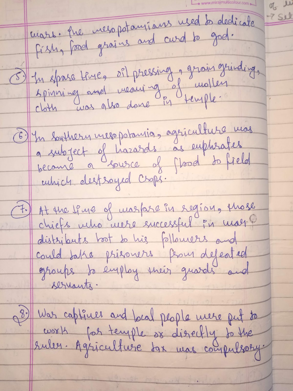 Handwritten Notes of Writing and City life - class 11th - History