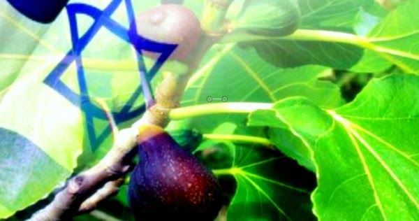 Nueva Jerusalem: Israel, la higuera y el reloj de Dios: 15 citas bíblicas