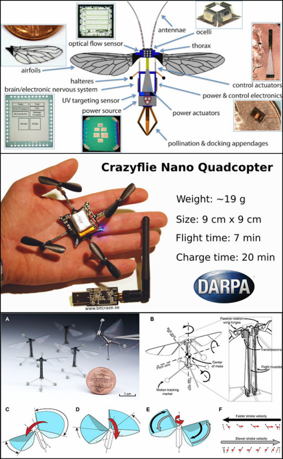 HI-MEMS (Hybrid Insect - Micro Electro-Mechanical Systems) Initiative ...