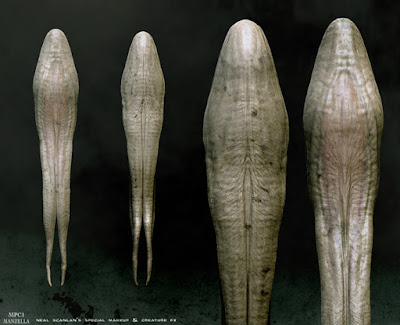 Alien Explorations: Prometheus : HR Giger's alien beasts