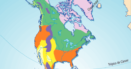Climas de América | Geografía Social