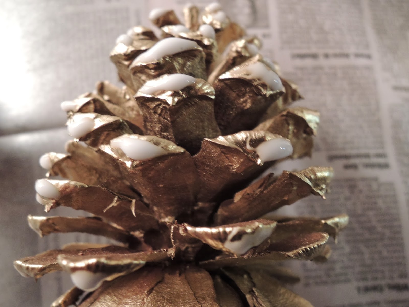 Holly Goes Lightly: DIY Painted Pine Cones