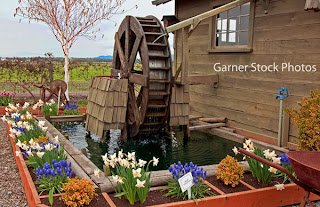 Stock and Fine Art Photos: Water Wheel in Spring Garden