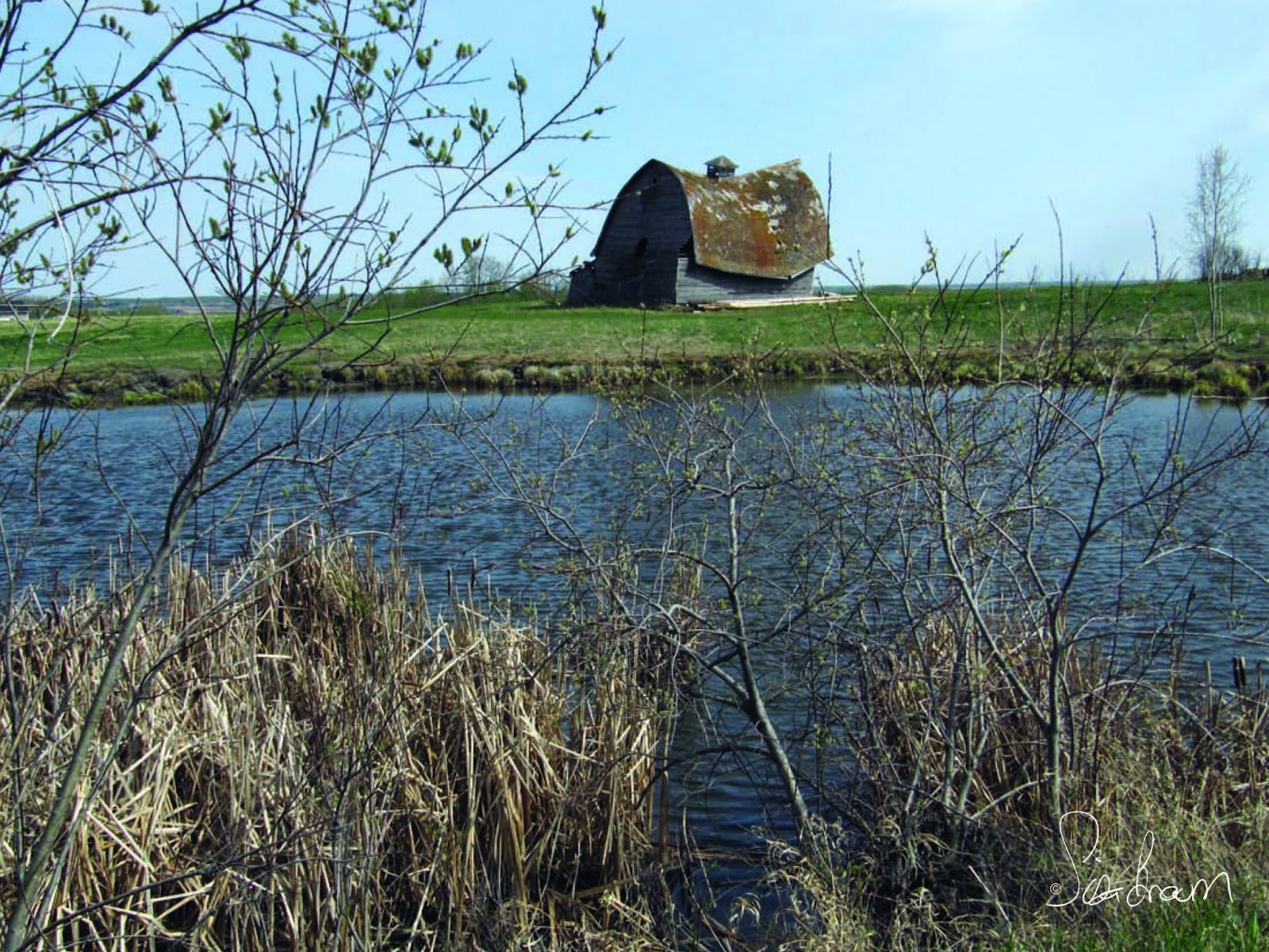 Photography by Lisa: 2014 Saskatchewan Prairie Scenes Calendar