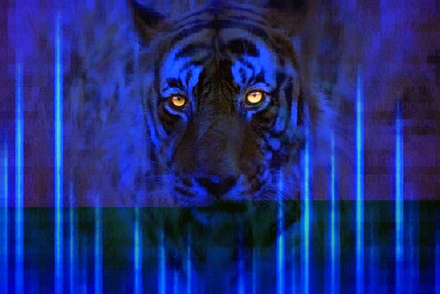 БЛОГ "UM JEITO MANSO" ПРОСИТ МИРА: Um tigre azul deixou-me uma rosa azul