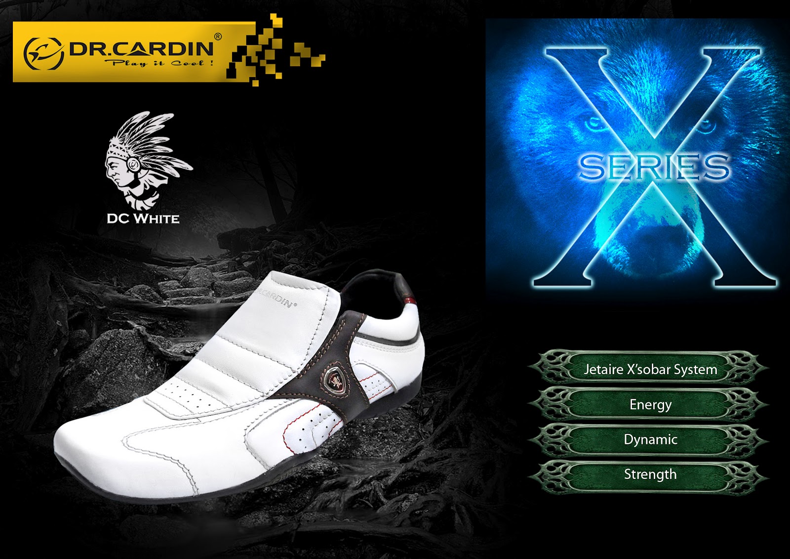 Dr.Cardin Lab: Dr.Cardin 2011 New Shoes