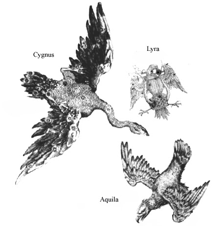 Mabinogion Astronomy: Caer Gwydion