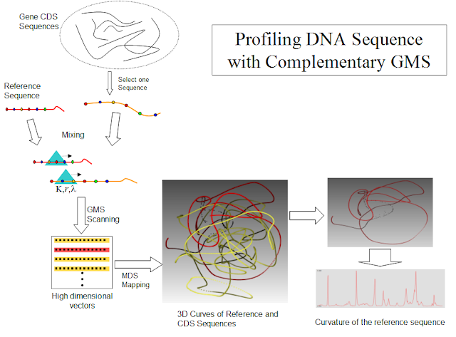 Visualizing High Dimensional Data: Visualizing Gene Sequences with ...
