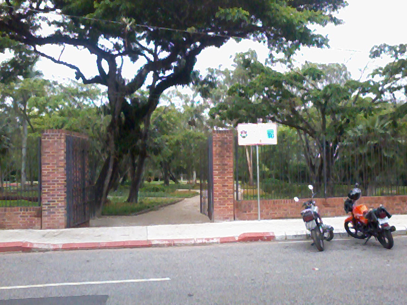 OCTAVO PASO: Parque Minerva, mi linda y bella Guatemala, esta siendo ...