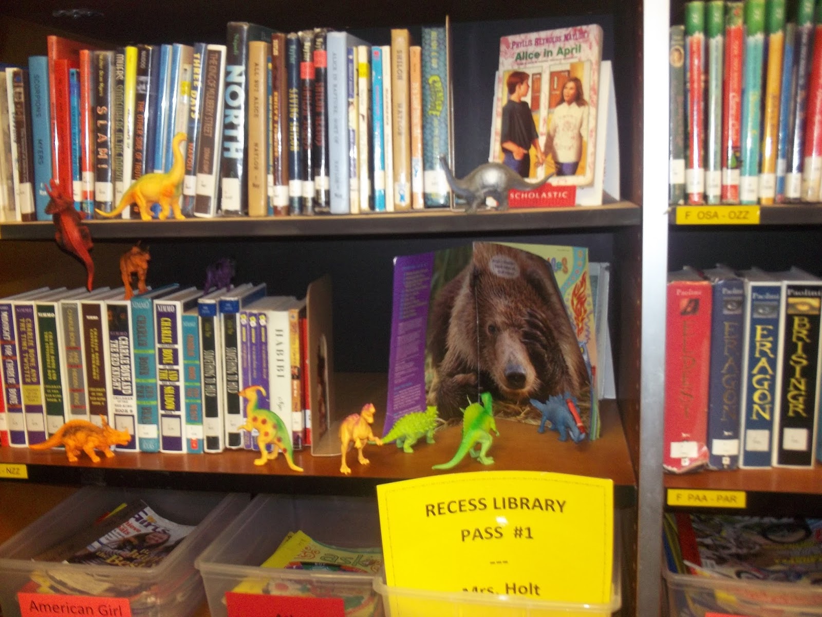 Sherwood Elementary School Library: What the Dinosaurs Did in the Library