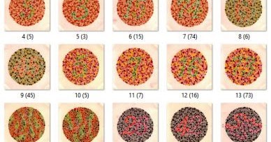 Tes Buta Warna Online Gratis untuk Mengetahui Kesehatan Mata Anda ...