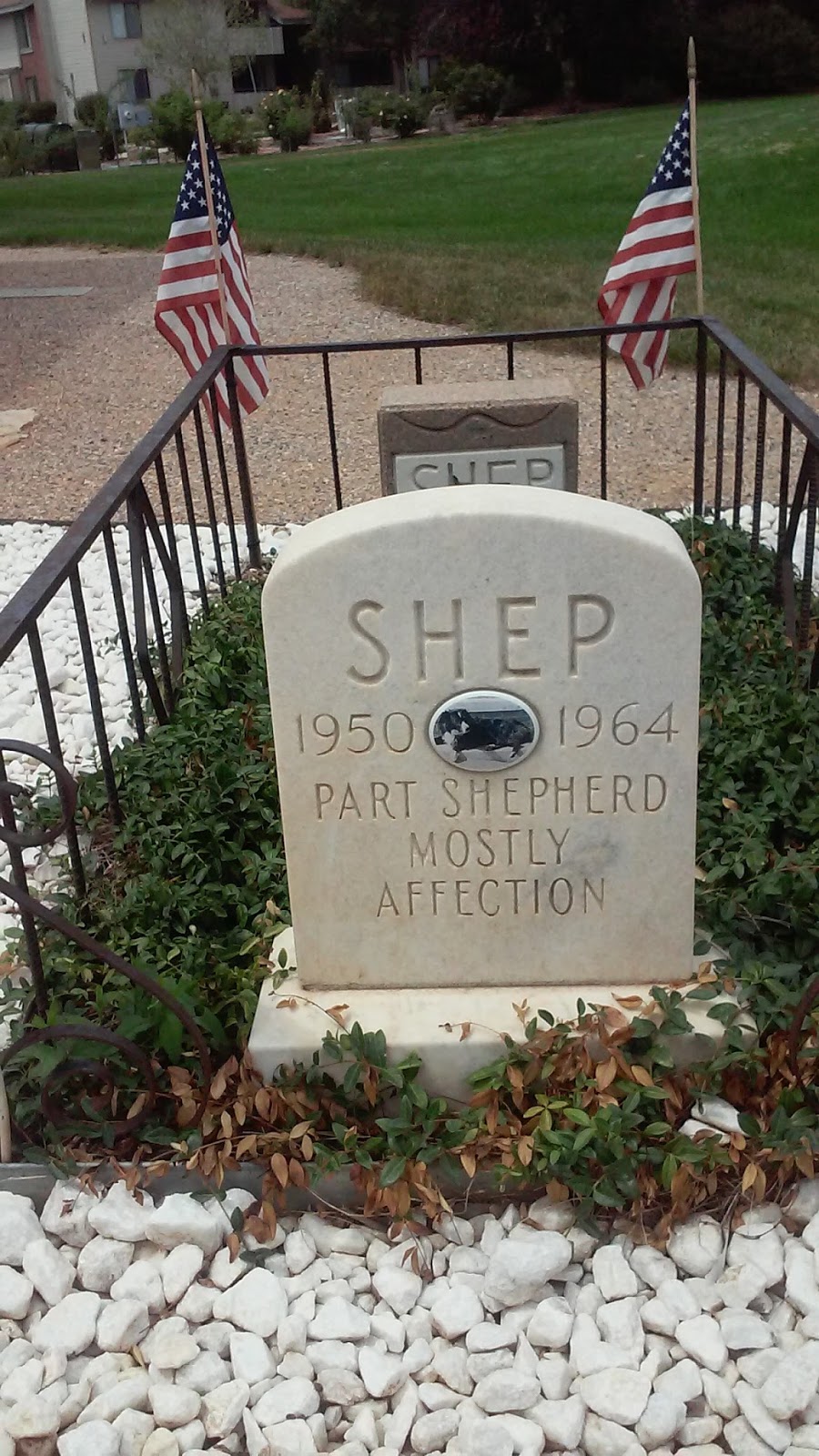 Shep the Turnpike Dog, Broomfield, CO, USA