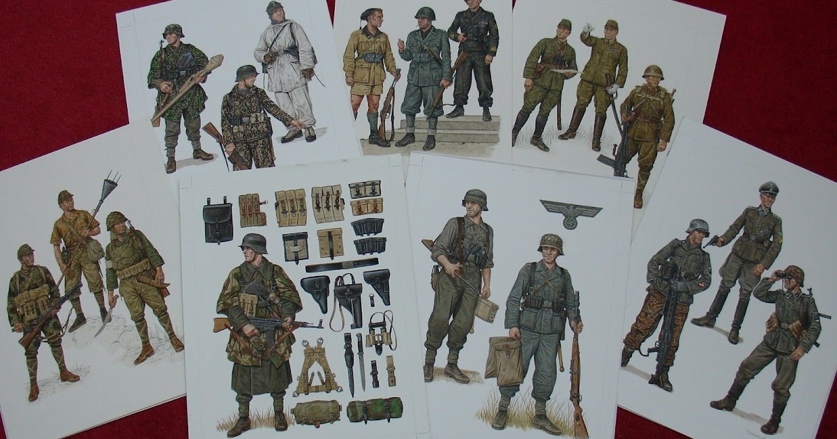 ENTREVISTA A STEPHEN ANDREW.INTERVIEW