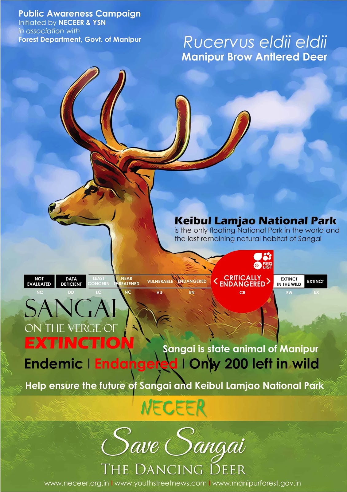 YOUTH STREET NEWS: Campaign to conserve Sangai