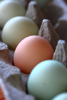 I Like This: ~Easy-Peasy Lemon-doodles!~ Always room for a classic ...