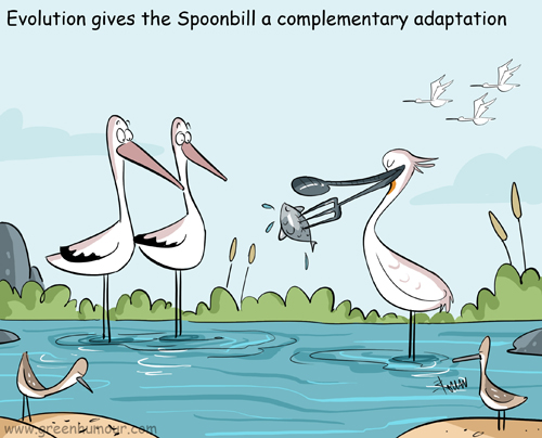 Green Humour: June 2016