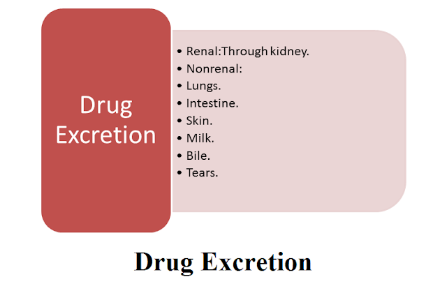 General Pharmacology-5 (Excretion of Drugs)