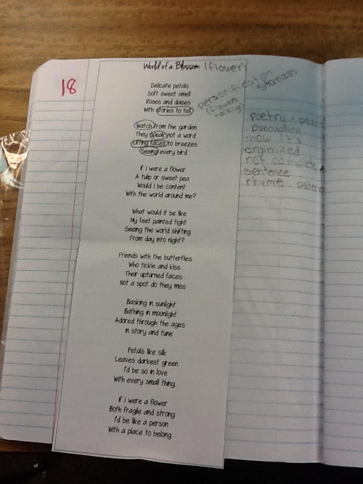 Stuff and Things: Interactive Notebooks