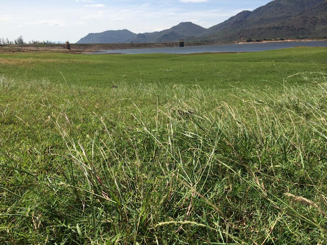 Tamilnadu Tourism: Athri Hills, Alwarkurichi, Thirunelveli