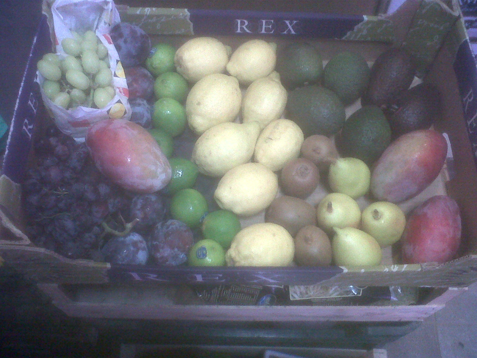 FRUTAS RAMON, yacht fruit & veg supplier.