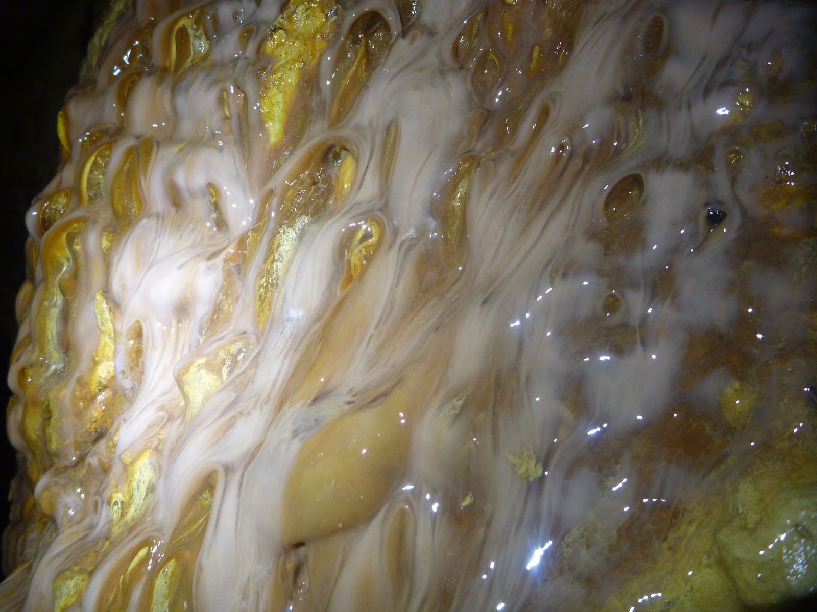 Margot's Blog: Mona-Parys with the PCG