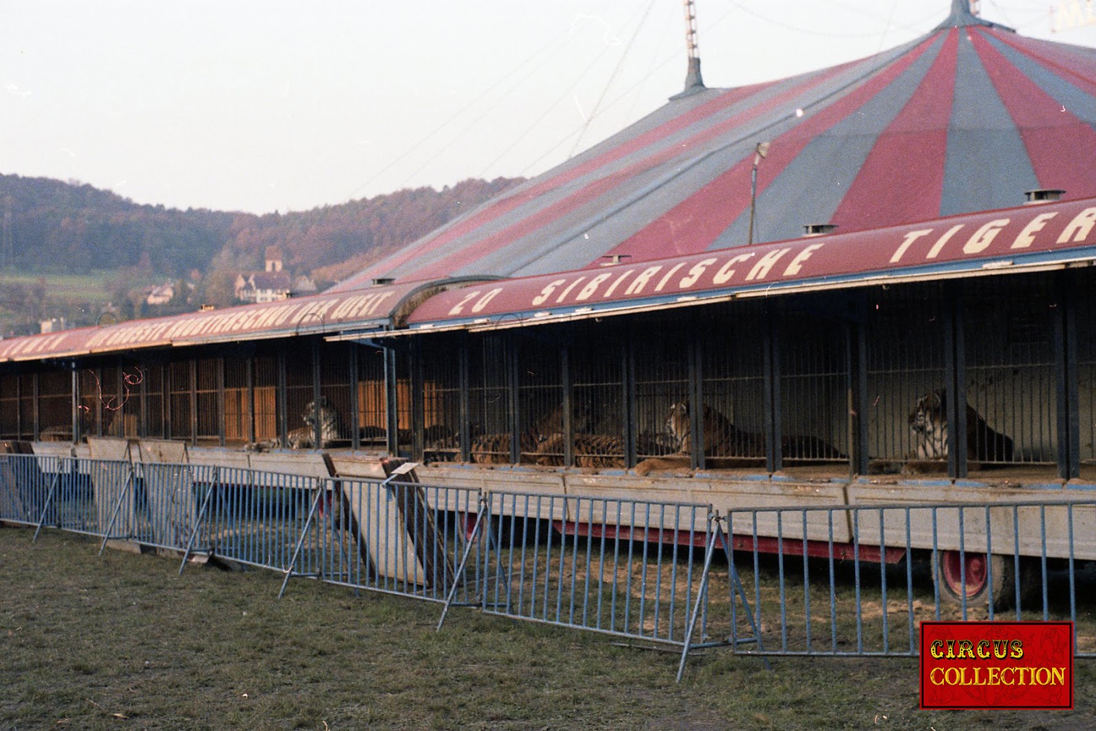 Circus -Collection: Ballade dans les ménageries du 20 eme siècle