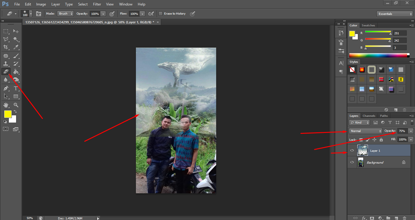 Tutorial Manipulasi Gambar Dengan Mudah Pakai Photoshop | Informasi dan ...