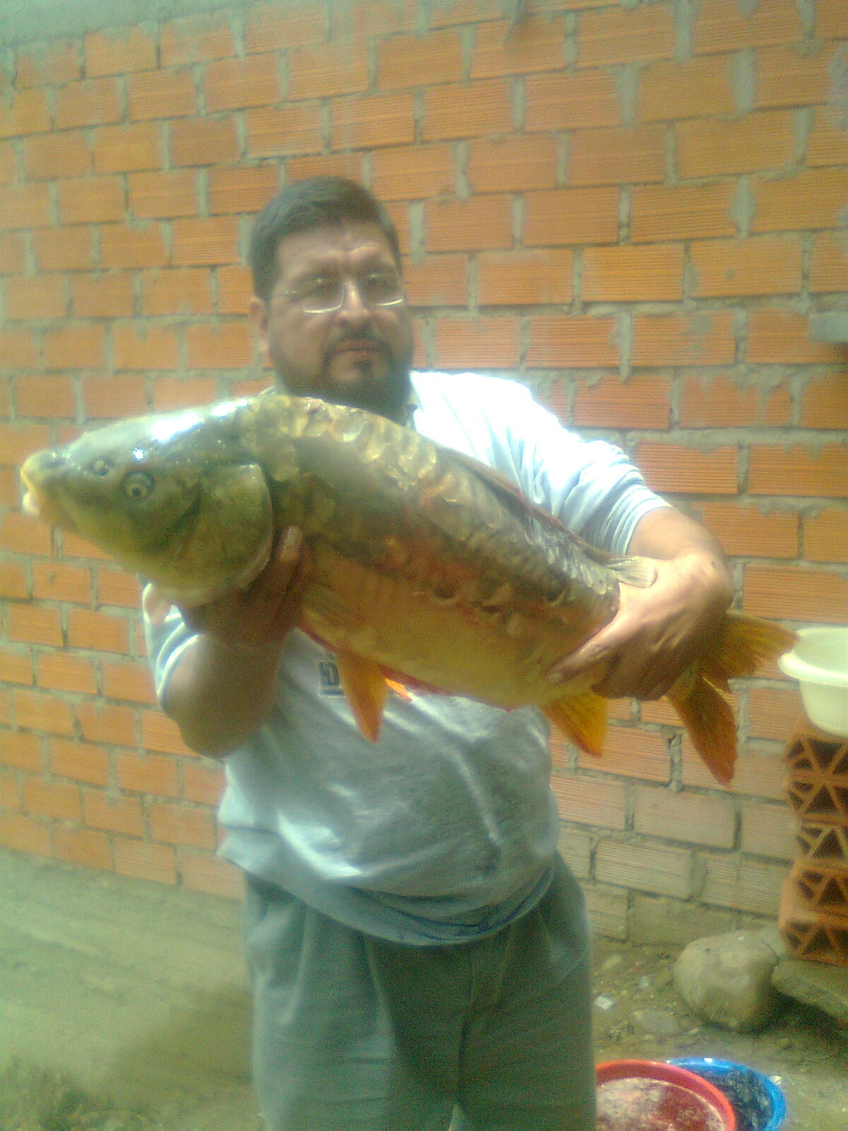 EMPRESA PISCICOLA: Piscicultura en el Chaco Boliviano