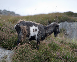 The Art Of Falling: 2012